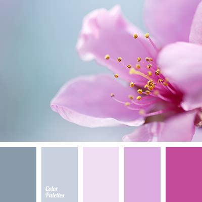 Light Pink Page 9 Of 12 Color Palette Ideas