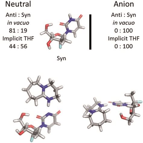 A Relative Ratios For Syn And Anti Conformations B Two Views Of