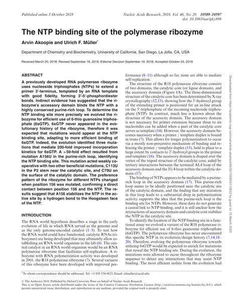 Pdf The Ntp Binding Site Of The Polymerase Ribozyme