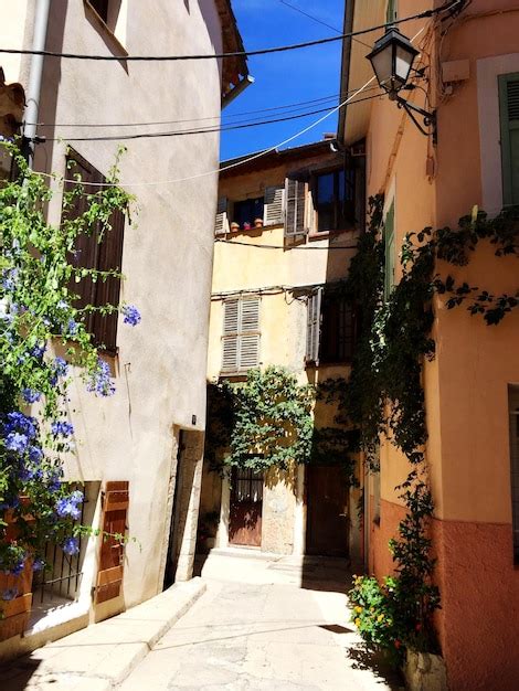 Plantas Exteriores De Los Edificios Foto Premium