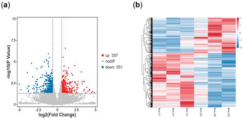 Sex Dimorphic Differential Expression Profiles In The Brain Of The