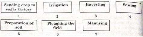 Arrange The Following Boxes In Proper Order To Make A Flow Chart Of Su
