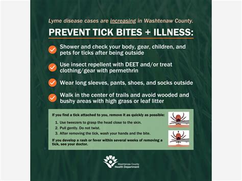Washtenaw County Tips For Preventing Insect Bites The Saline Post