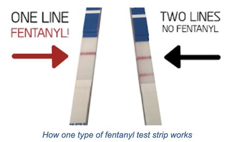 Fentanyl Test Strips No Longer Considered Paraphernalia The Interior