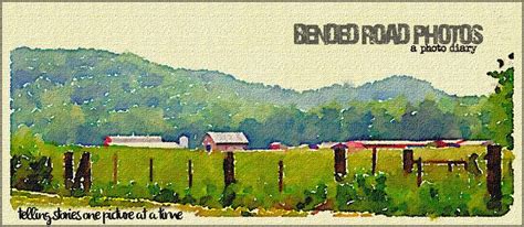 Bended Road Photography