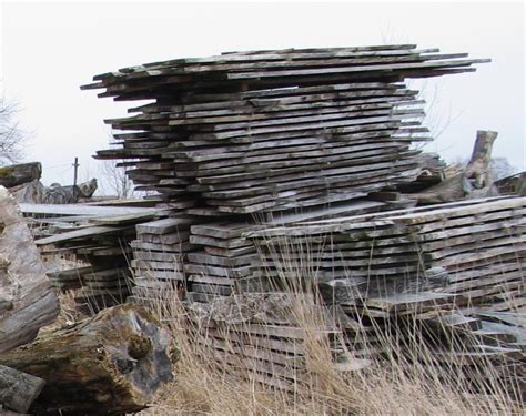 Biotope Design Wonderful Trunk Design