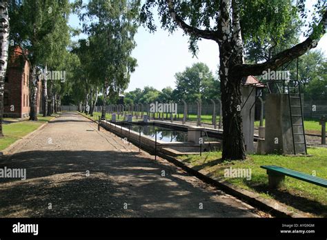 Auschwitz Swimming Pool Auschwitz Swimming Pool 2012