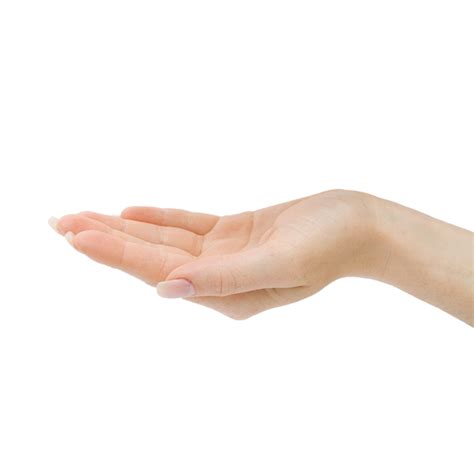 单手捧东西手势png 1