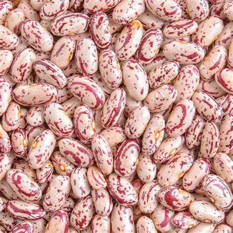 Red Speckled Sugar Beans Ww And Sons Limited