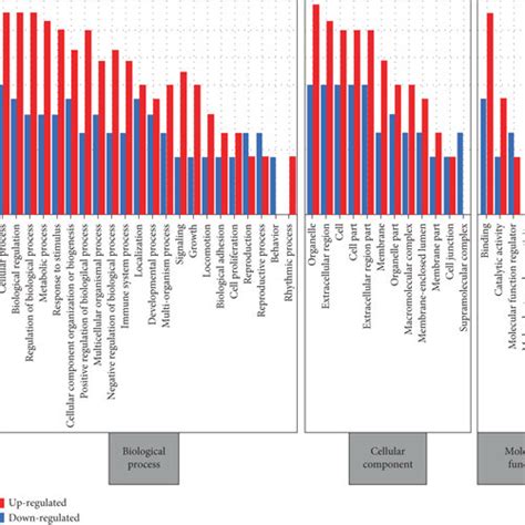 Gene Ontology Functional Classification Of Plasma Derived Exosomes In