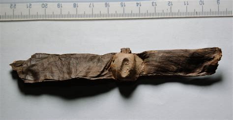 Proto Sarada Schriftstücke Zeugnisse Für Das Leben Im Alten Indien