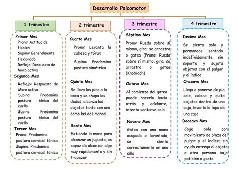 Desarrollo Psicomotor Yudocorg Udocz