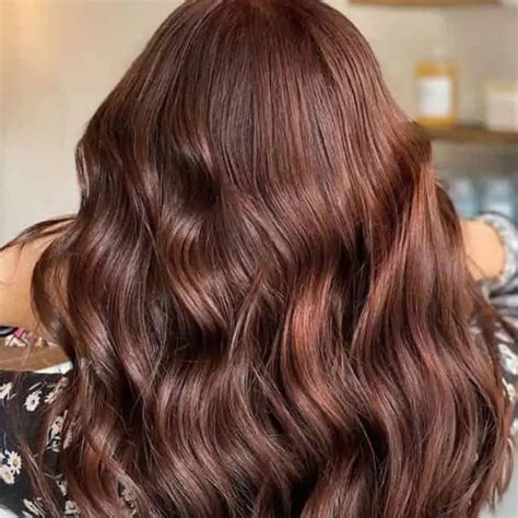 Hazelnut Hair Color Ideas Moehair Moehair Usa Inc