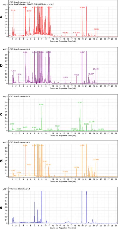 Total Ion Chromatograms Of Volatile Components From Jambolan Fruit Pulp Download Scientific