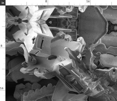 Spoonflower Fabric Ice Snow Geek Science Sem Microscope Electron