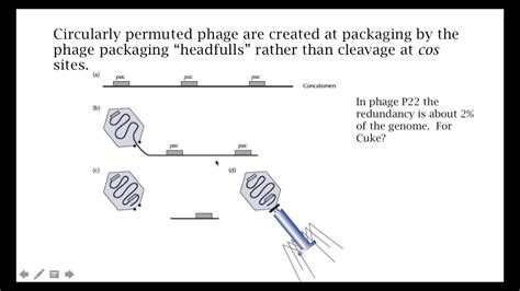 Circularlypermutedgenomes Youtube