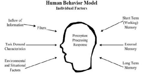 Model Of Human Performance 12 Download Scientific Diagram