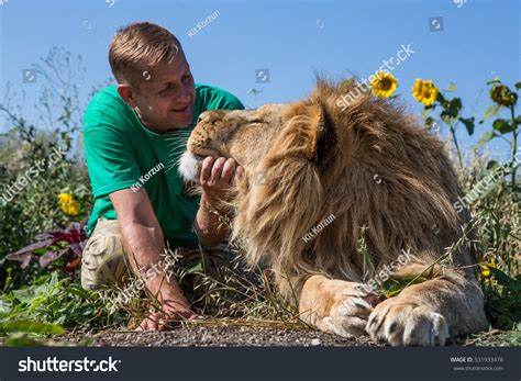 Man Hugging Lion Images Stock Photos Vectors Shutterstock