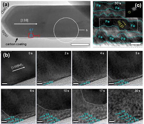 Lithium Conversion And Phase Propagation Within A Single Crystal Of