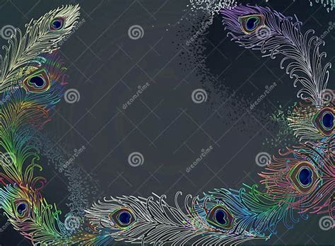 Peacock Feather Stock Illustration Illustration Of Design 65659752
