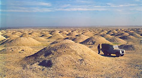 Geology Page Bone Headed Dinosaur Hinting At Higher Diversity Of