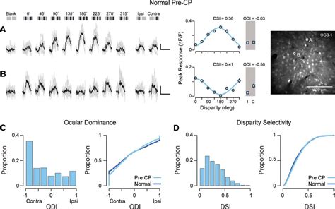 Binocular Disparity Selectivity Weakened After Monocular Deprivation In Mouse V1 Journal Of