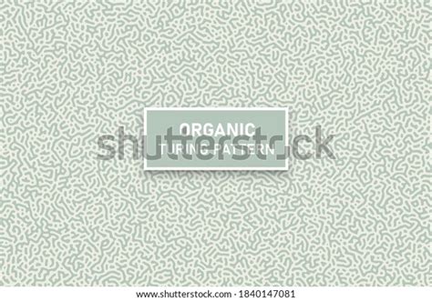 Biological Vector Turing Reaction Diffusion Pattern Stock Vector