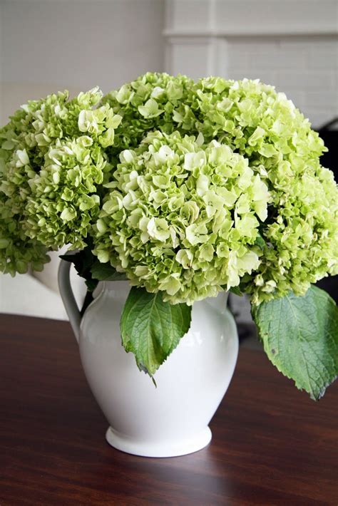 Green Hydrangea Wedding Flower