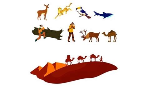 Biodiversity Vector Illustration Set Graphic By Theimg · Creative Fabrica