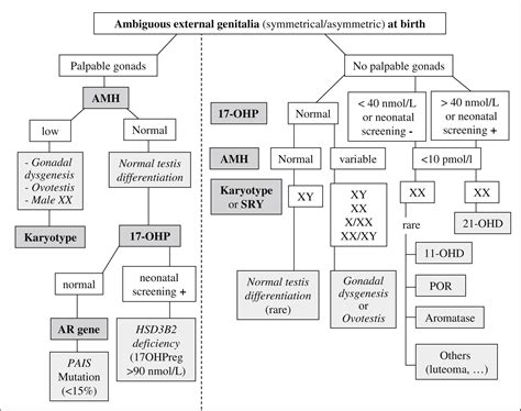 Biological Assessment Of Abnormal Genitalia Journal Of Pediatric Urology