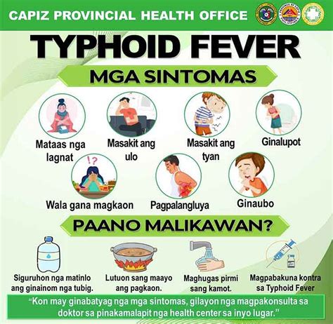 Typhoid Fever What You Need To Know