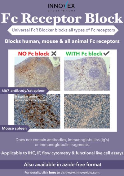 Universal Fc Receptors Blocker Innovex