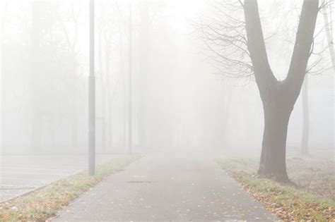 Premium Photo Thick Fog On The Road