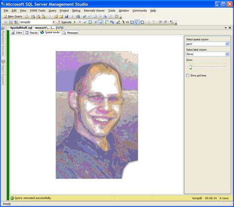 Sql Self Portrait Michael J Swart