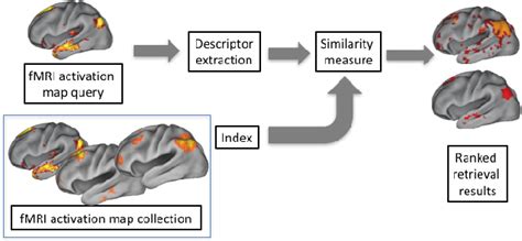 Figure 1 From Graph Representation For Content Based Fmri Activation