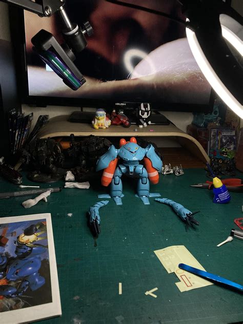 Finished Hygogg R Gunpla