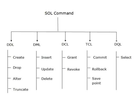 Labhesh Radke On Linkedin Data Sql Language Database Dbms Mysql