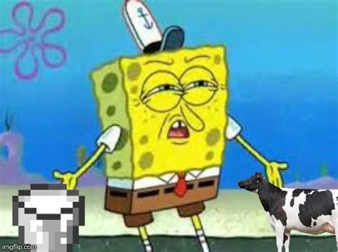 Spongebob Funny Faces Images