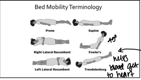 Bed Mobility Flashcards Quizlet