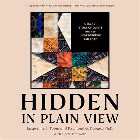 Hidden In Plain View By Jacqueline L Tobin Raymond G Dobard Cuesta