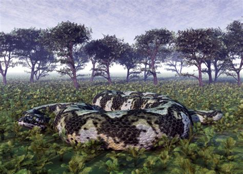 认识泰坦巨蟒：世界上最大的蛇 知乎