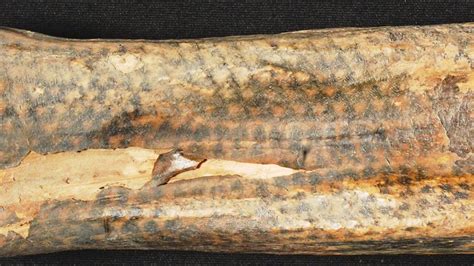 Intricate Tattoos On 1200 Year Old Mummy Revealed By Lasers Popular