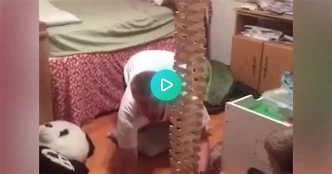 Oh No Vinosaur Album On Imgur