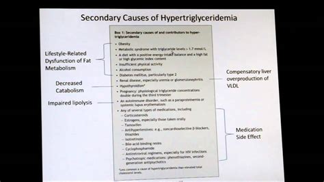 Hypertriglyceridemia Youtube