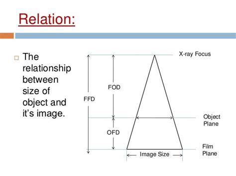 Magnificationmacro And Micro Radiography Distortion