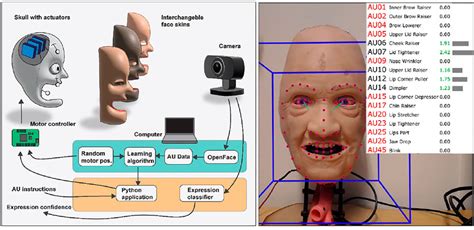 Frontiers Facing The Facs—using Ai To Evaluate And Control Facial Action Units In Humanoid