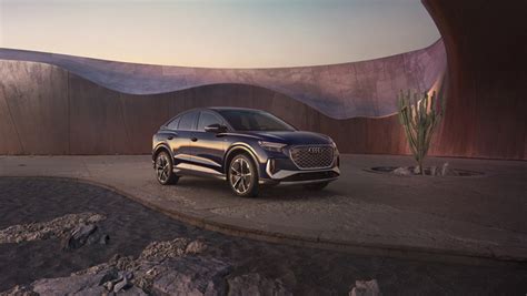 Anke Luckmann In The Footsteps Of César Manrique News Gosee