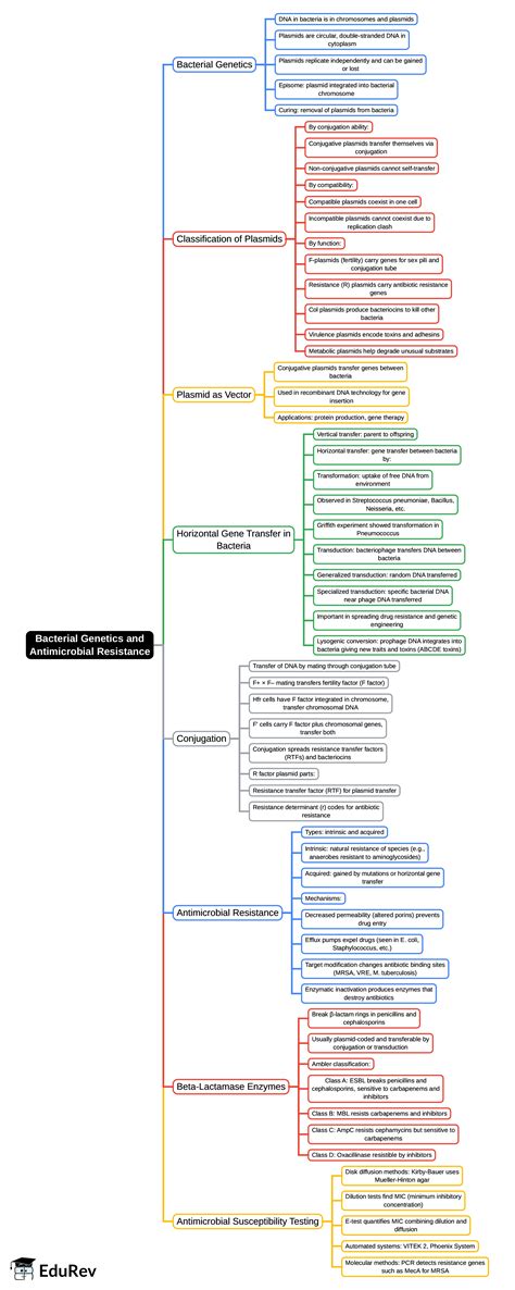 Bacterial Genetics And Antimicrobial Resistance Mind Map Neet Pg Pdf