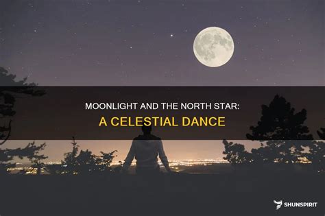 Moonlight And The North Star A Celestial Dance Shunspirit