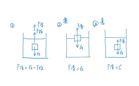 浮力预习6：受力分析求解浮力哔哩哔哩bilibili